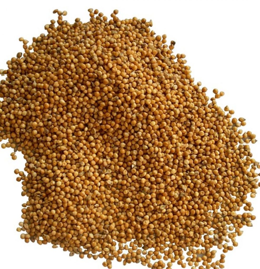 Campos Verdes - SEMILLA DE MIJO 250 GR